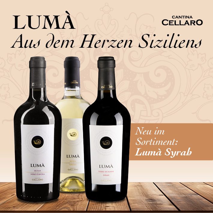 Buy Wine Online. Top Wineries & Exclusive Offers – Vineshop24.de